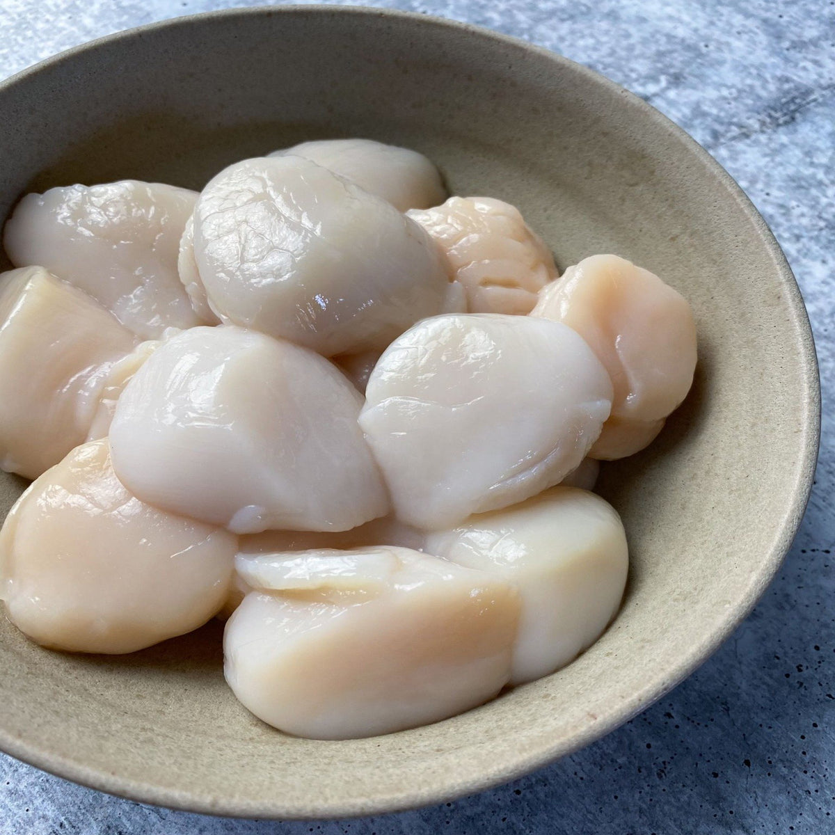 raw scallops