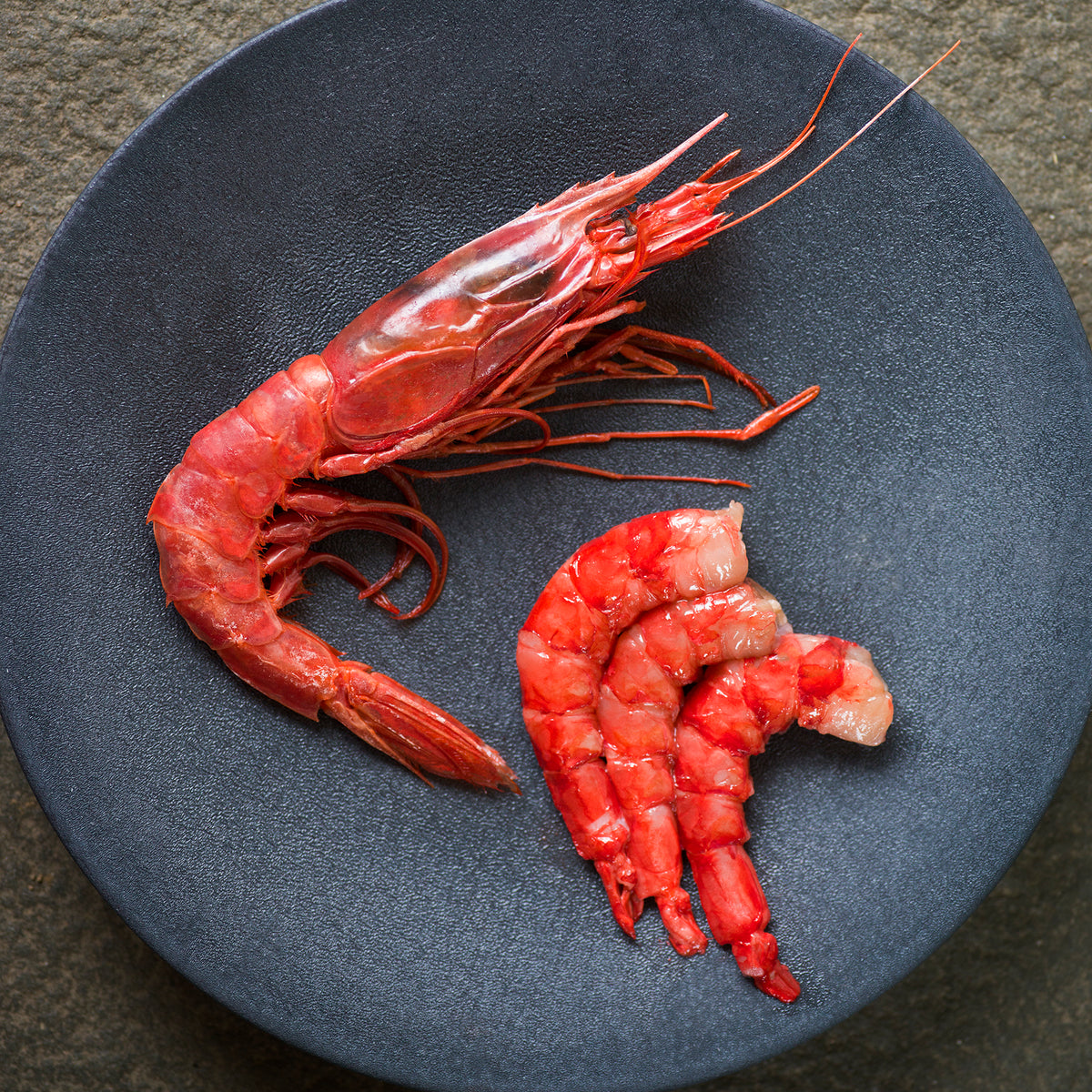 Succulent Spanish Red Prawns for Sale | Regalis Foods