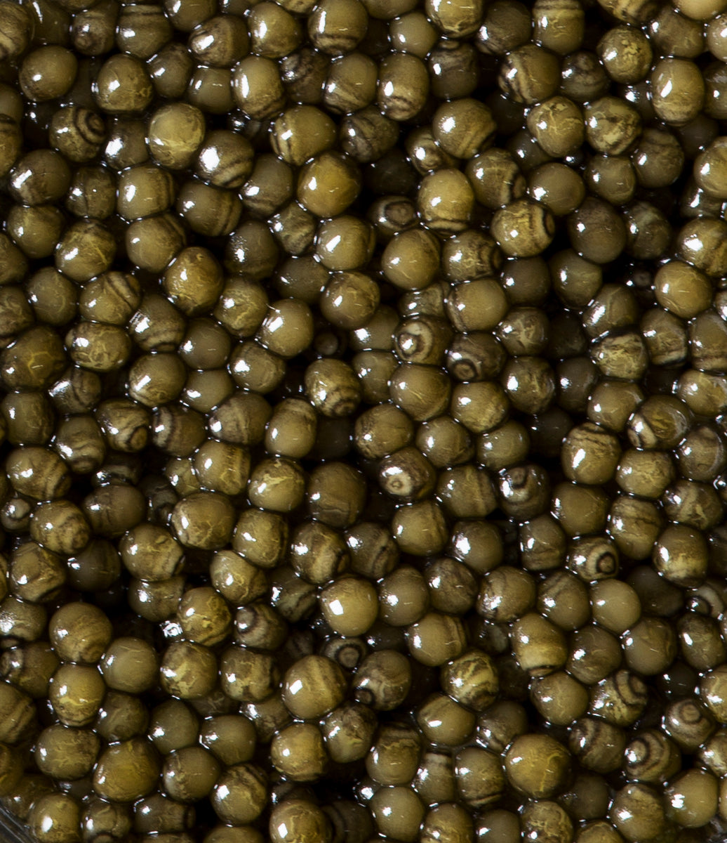 Gourmet Fish Roe Golden Imperial Osetra Caviar - 3.5 Oz Russian Ossetra ...