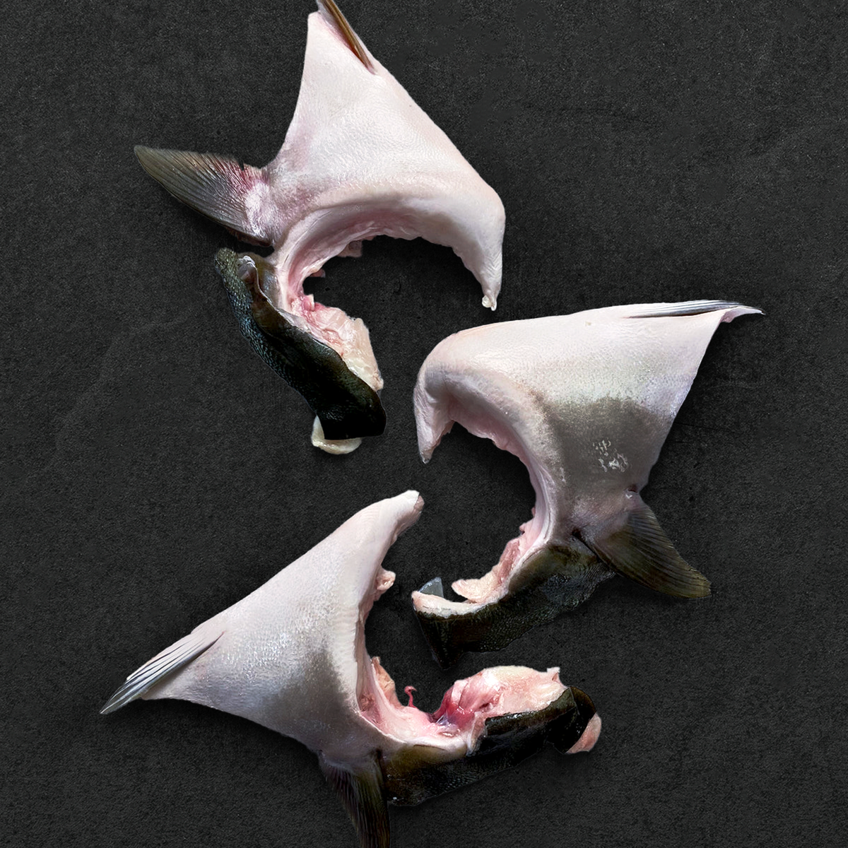 Japanese Yellowtail Collars (Hamachi Kama) – Regalis Foods