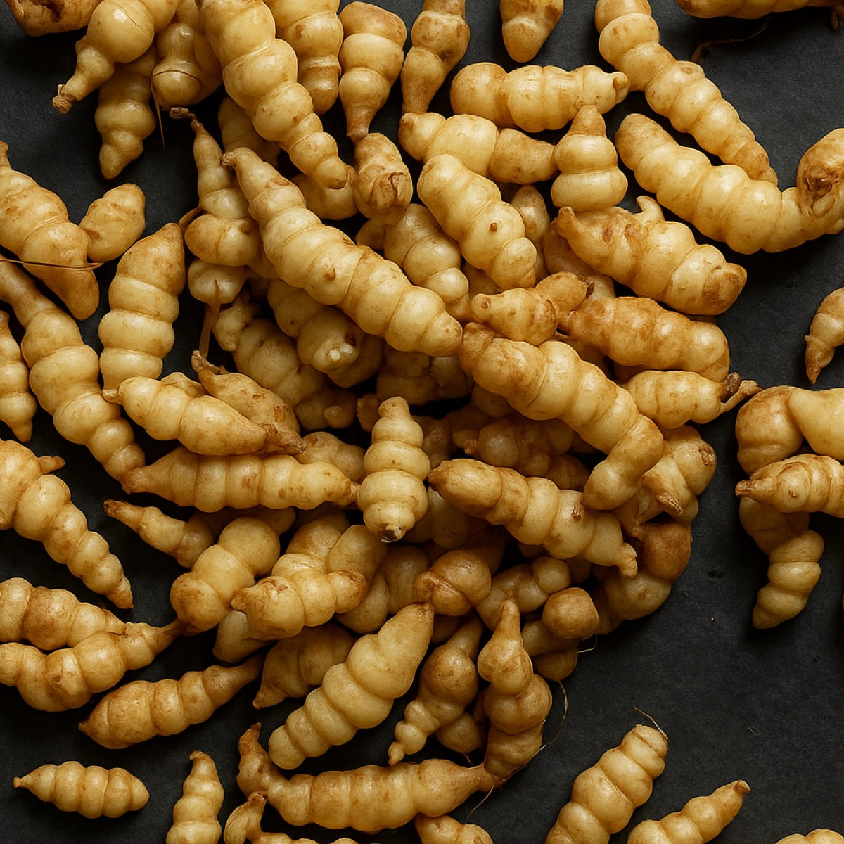 Crosnes – Regalis Foods