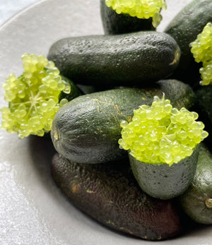 Regalis Foods is the Leading Source for Rare and Specialty Foods