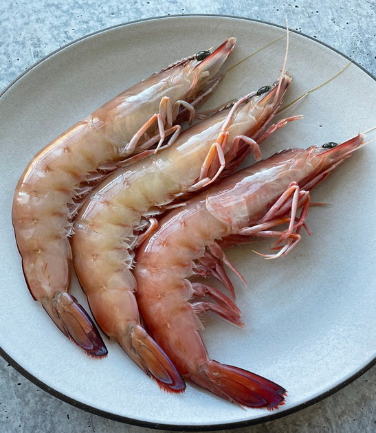 Australian King Prawns - Buy at Regalis Foods