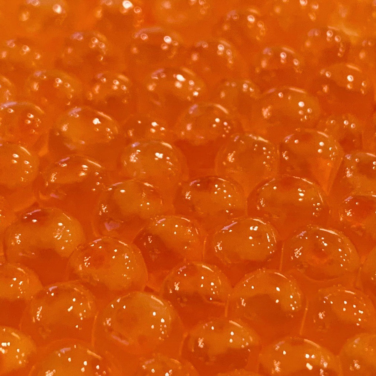 Natural Cure Trout Roe – Regalis Foods