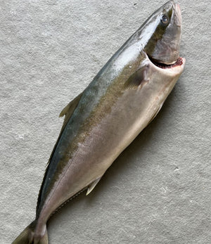 Regalis Foods is the Leading Source for Rare and Specialty Foods